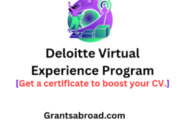 Deloitte Virtual Experience Program - Grants Abroad